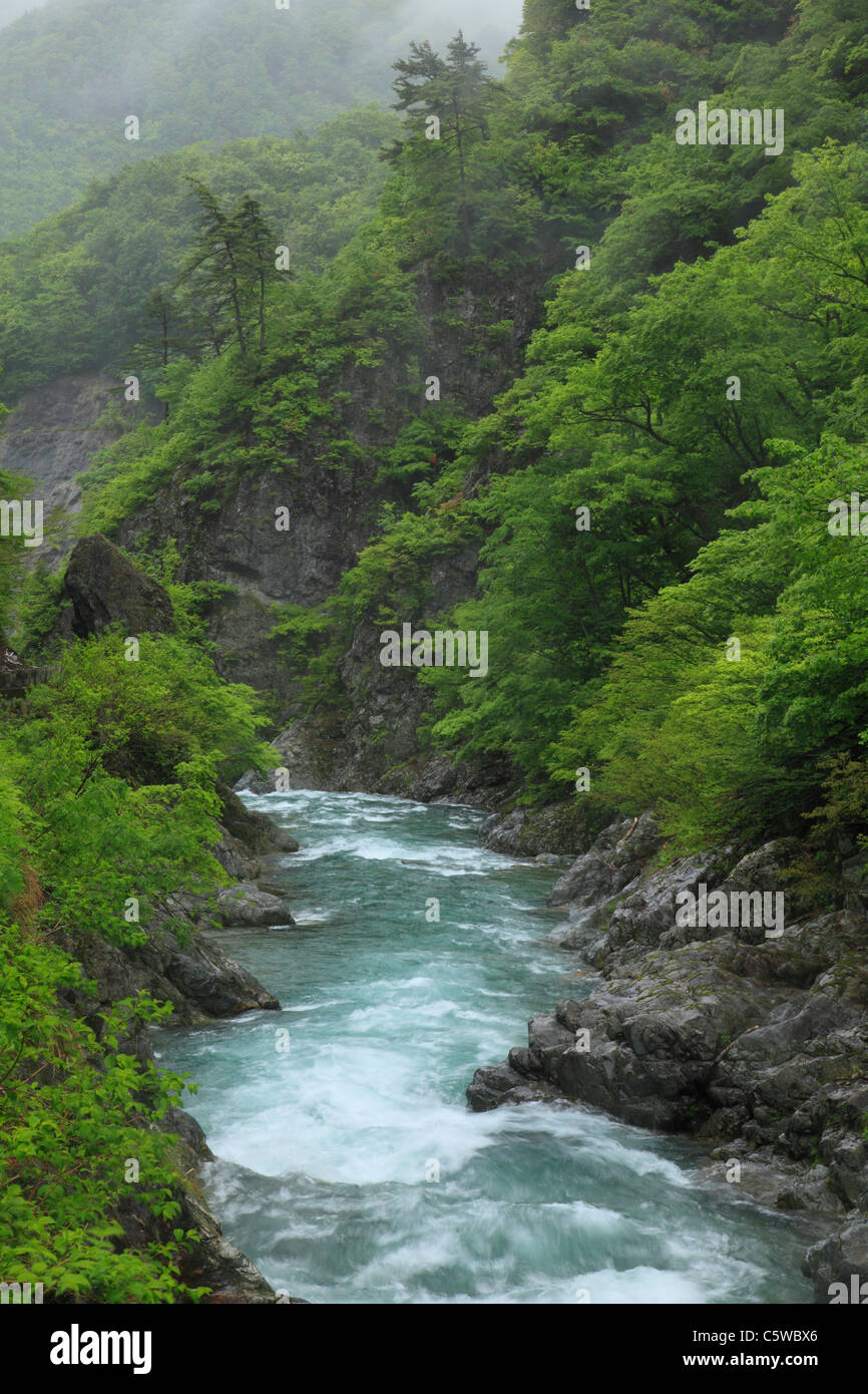 Minamiuonuma hi-res stock photography and images - Alamy