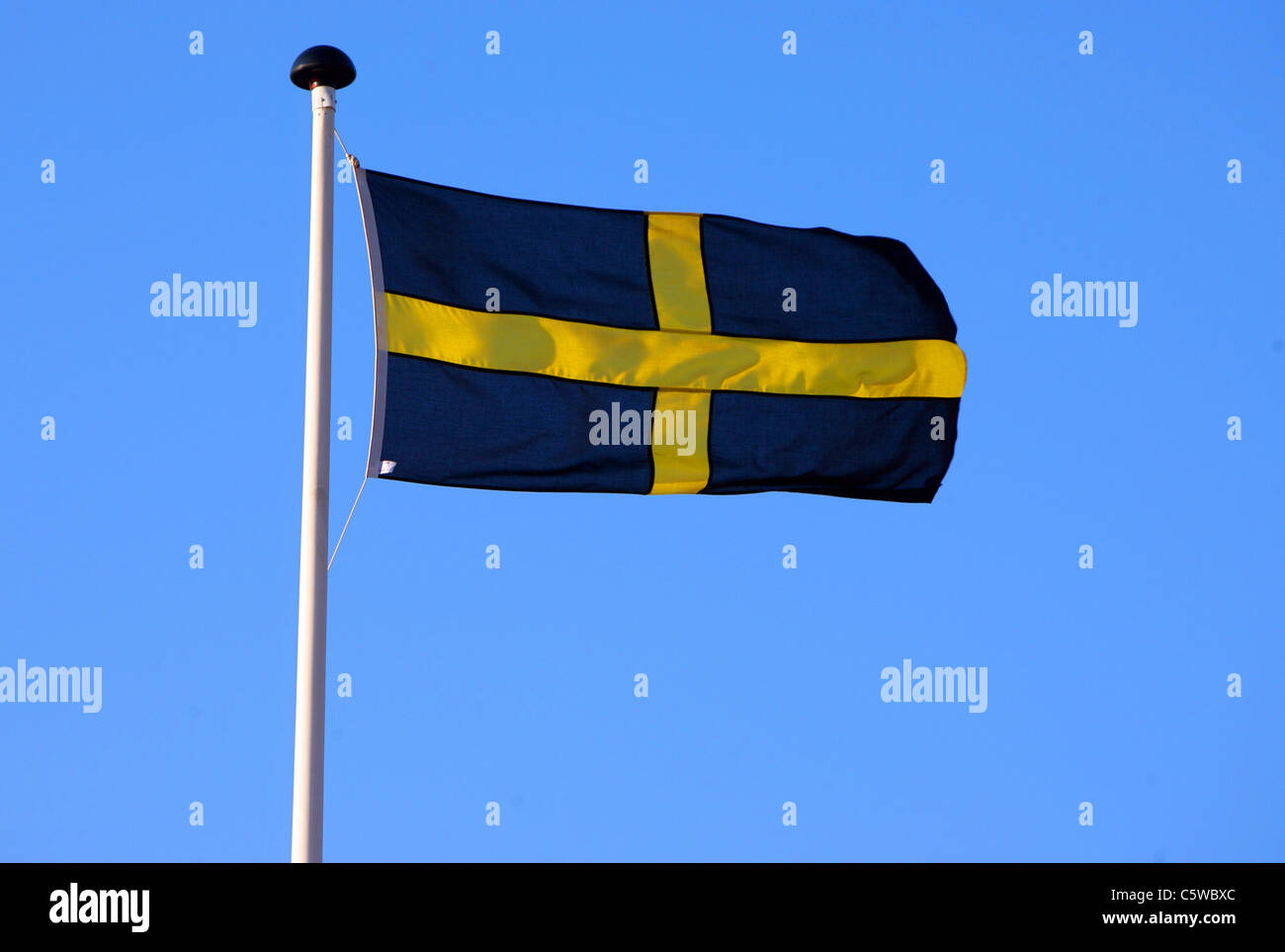 Saint David And Wales High Resolution Stock Photography and Images - Alamy