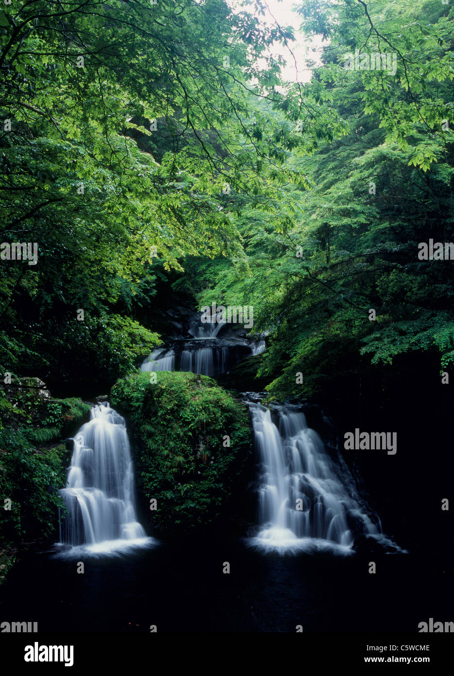 Ninai-daki of Akame-shijuhachi-taki, Nabari, Mie, Japan Stock Photo - Alamy
