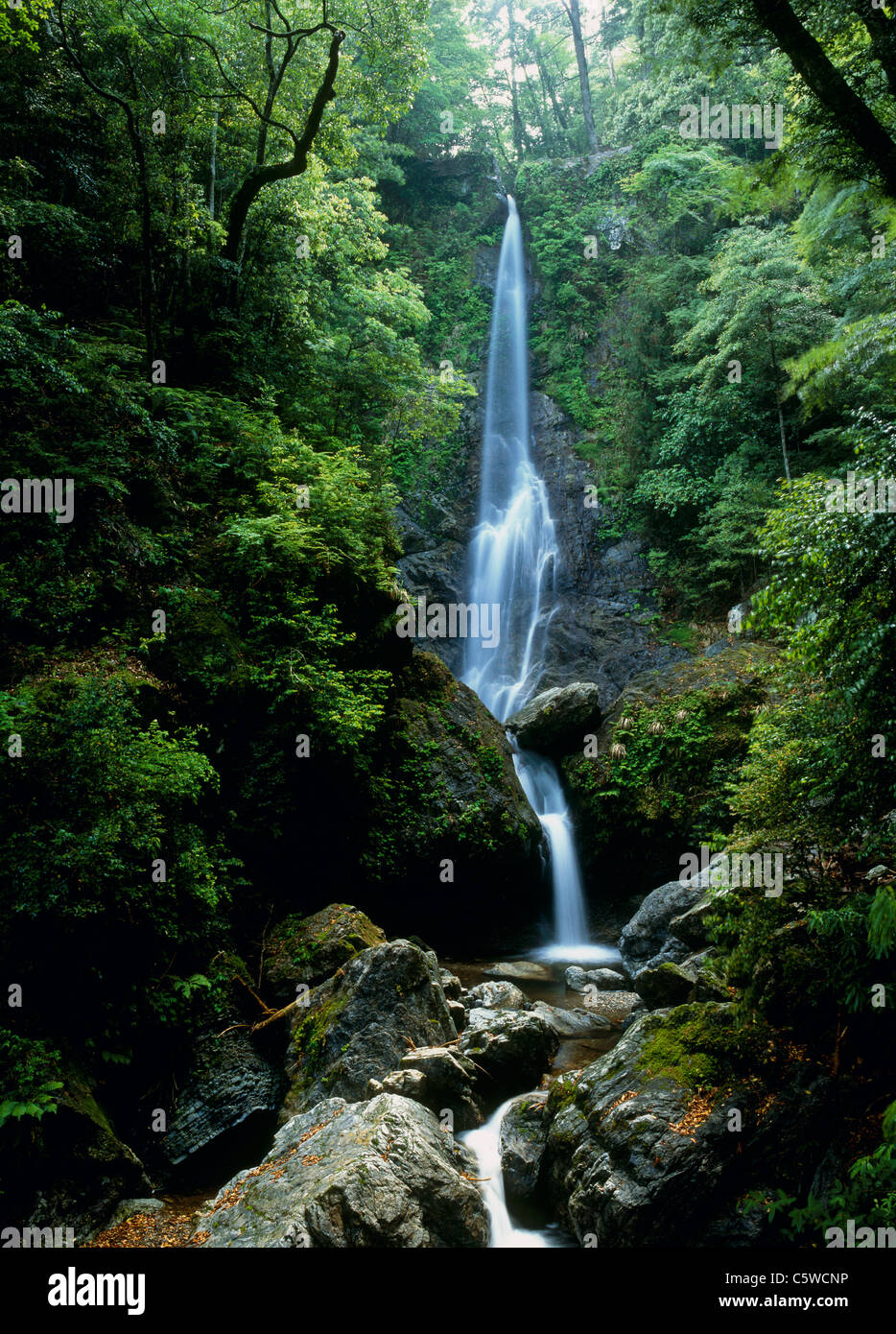 Kasagi-fudo Waterfall, Taiki, Watarai, Mie, Japan Stock Photo - Alamy