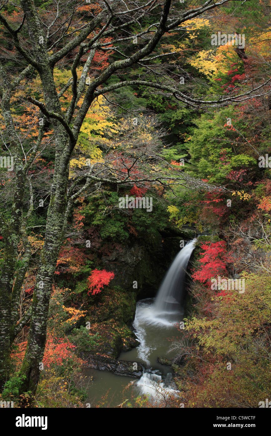 Koya-ootaki Waterfall, Koya, Ito, Wakayama, Japan Stock Photo - Alamy