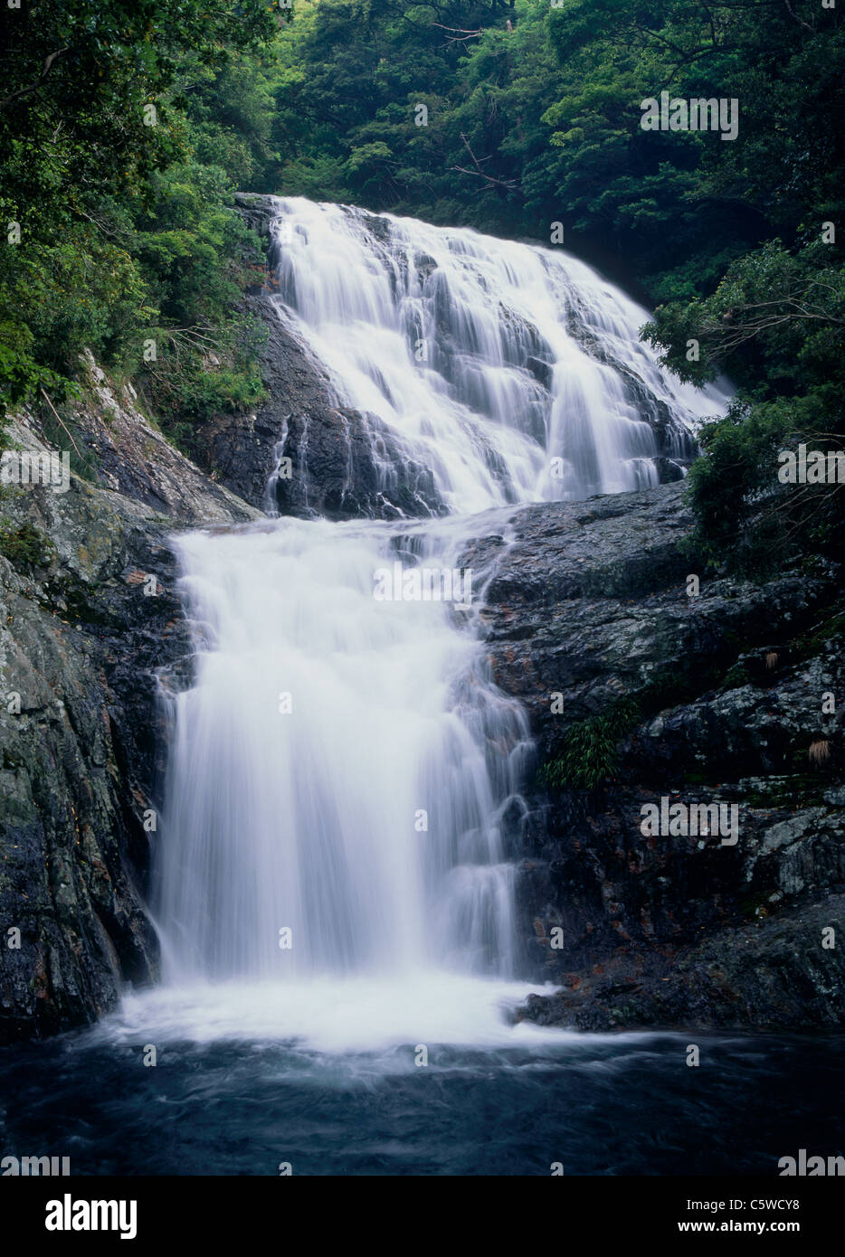 Shizuku Waterfall, Susami, Nishimuro, Wakayama, Japan Stock Photo - Alamy