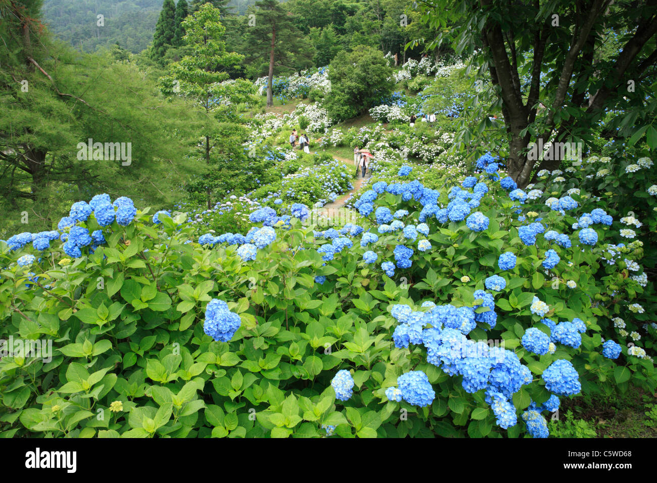 Maizuru nature and cultural park hi-res stock photography and images ...