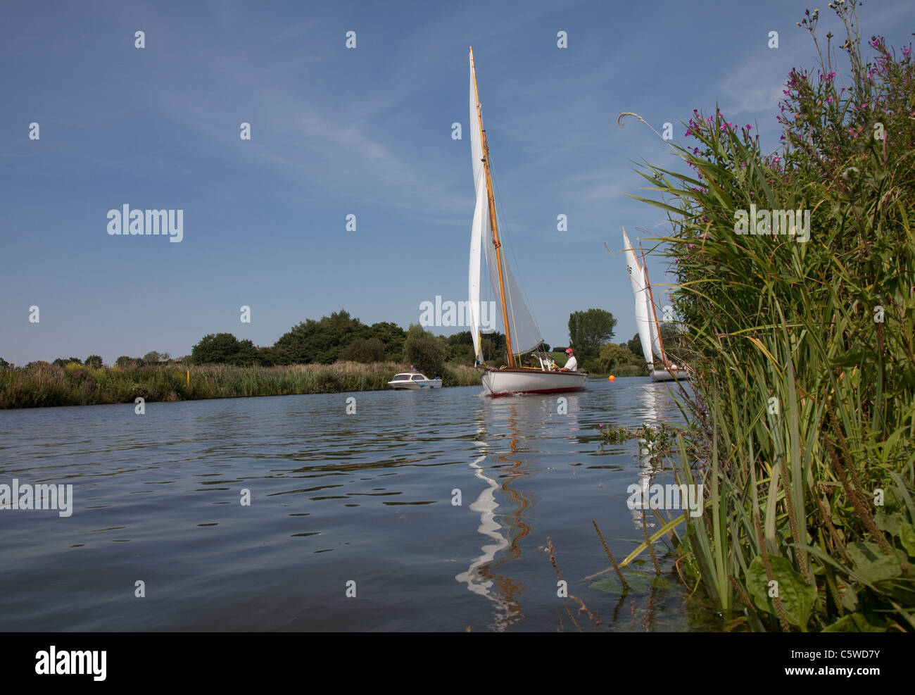 Beccles Sailing Yachts River Waveney Suffolk Stock Photo - Alamy