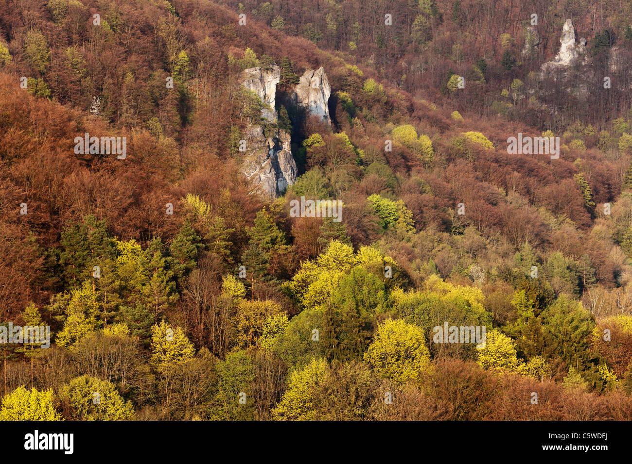 Wiesenttal hi-res stock photography and images - Alamy