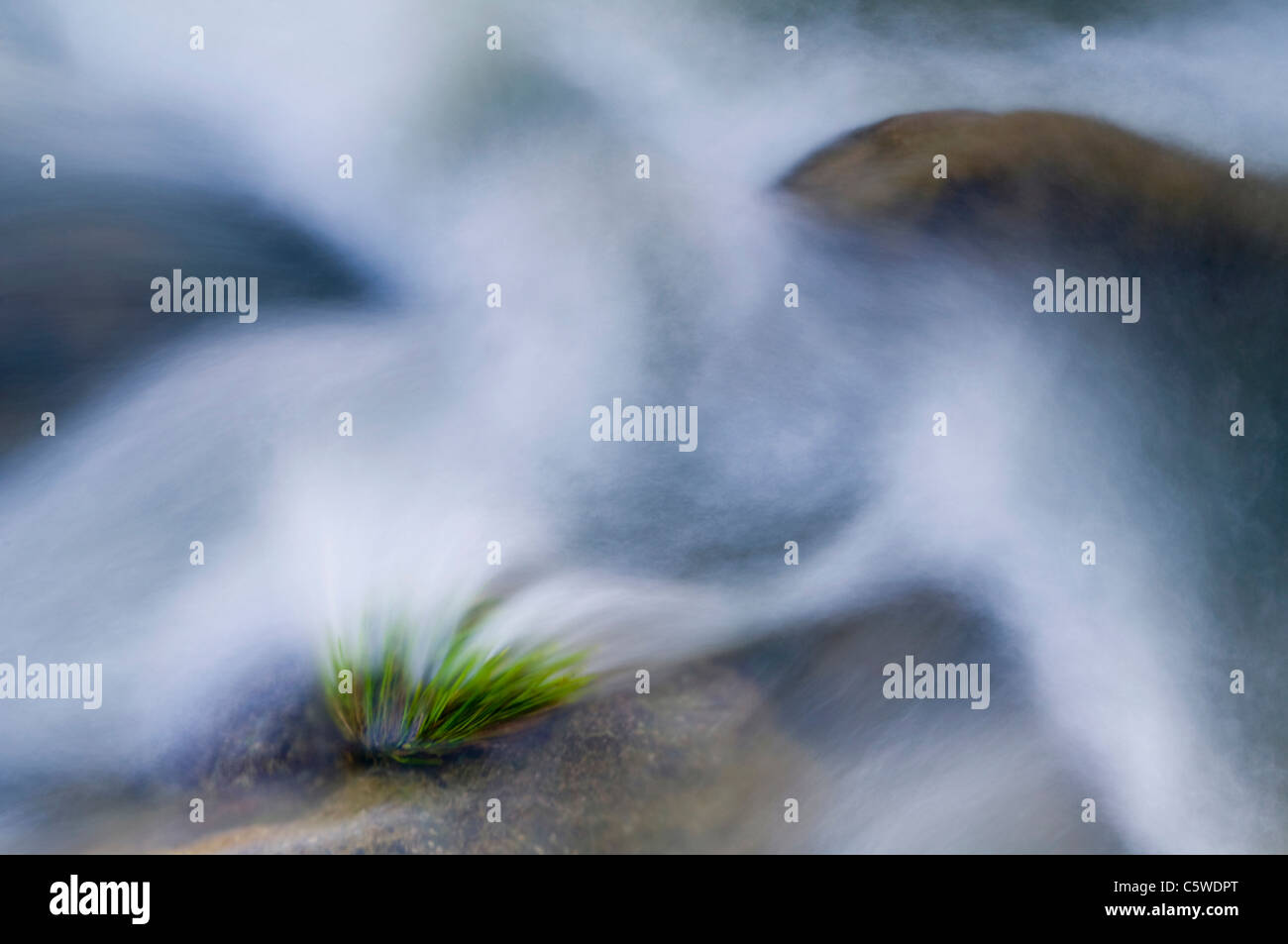 Argen River High Resolution Stock Photography and Images - Alamy