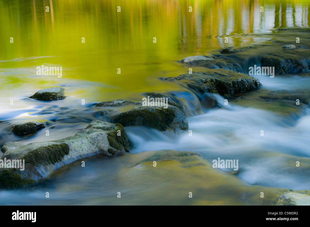 Argen River High Resolution Stock Photography and Images - Alamy