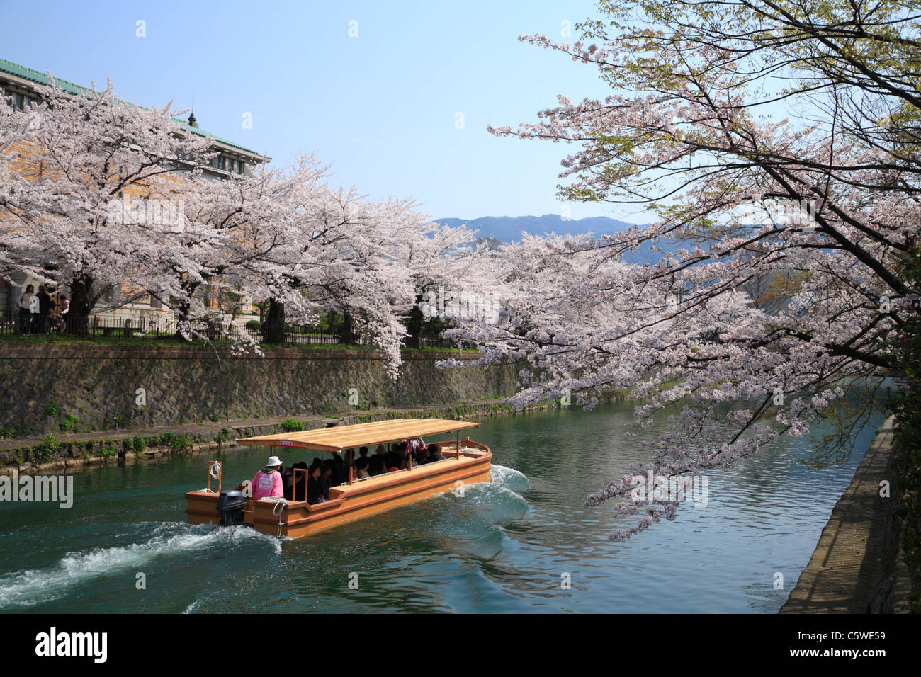 Okazaki Canal and Cherry Blossoms, Kyoto, Kyoto, Japan Stock Photo - Alamy
