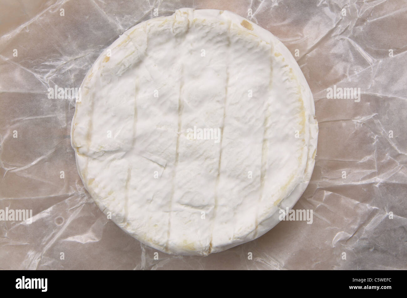 French Camembert cheese, elevated view Stock Photo - Alamy