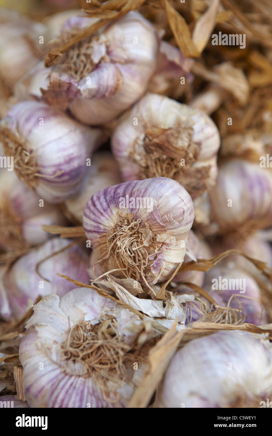 Close up garlic bulbs hi-res stock photography and images - Alamy