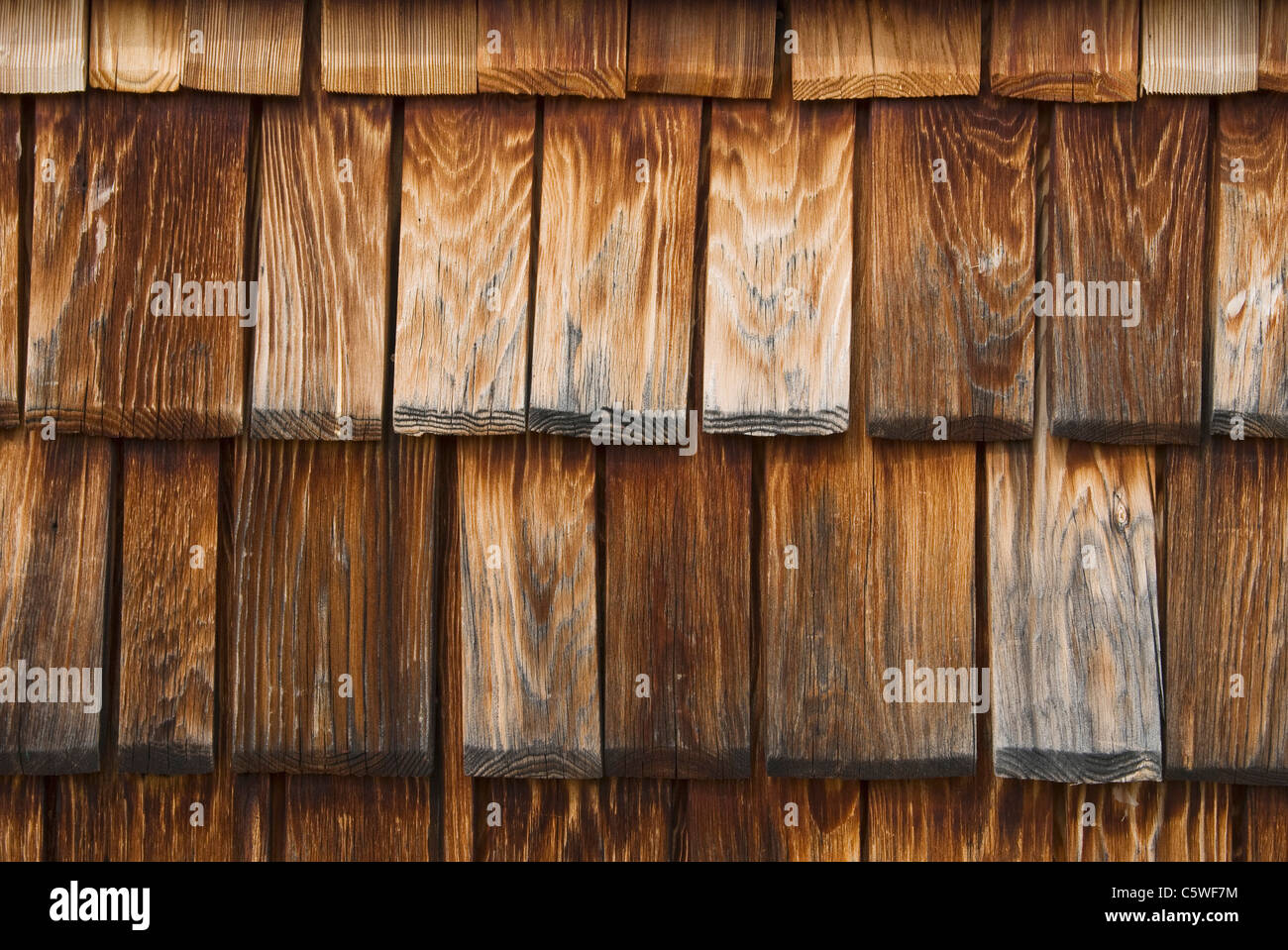 Close up shingles hi-res stock photography and images - Alamy
