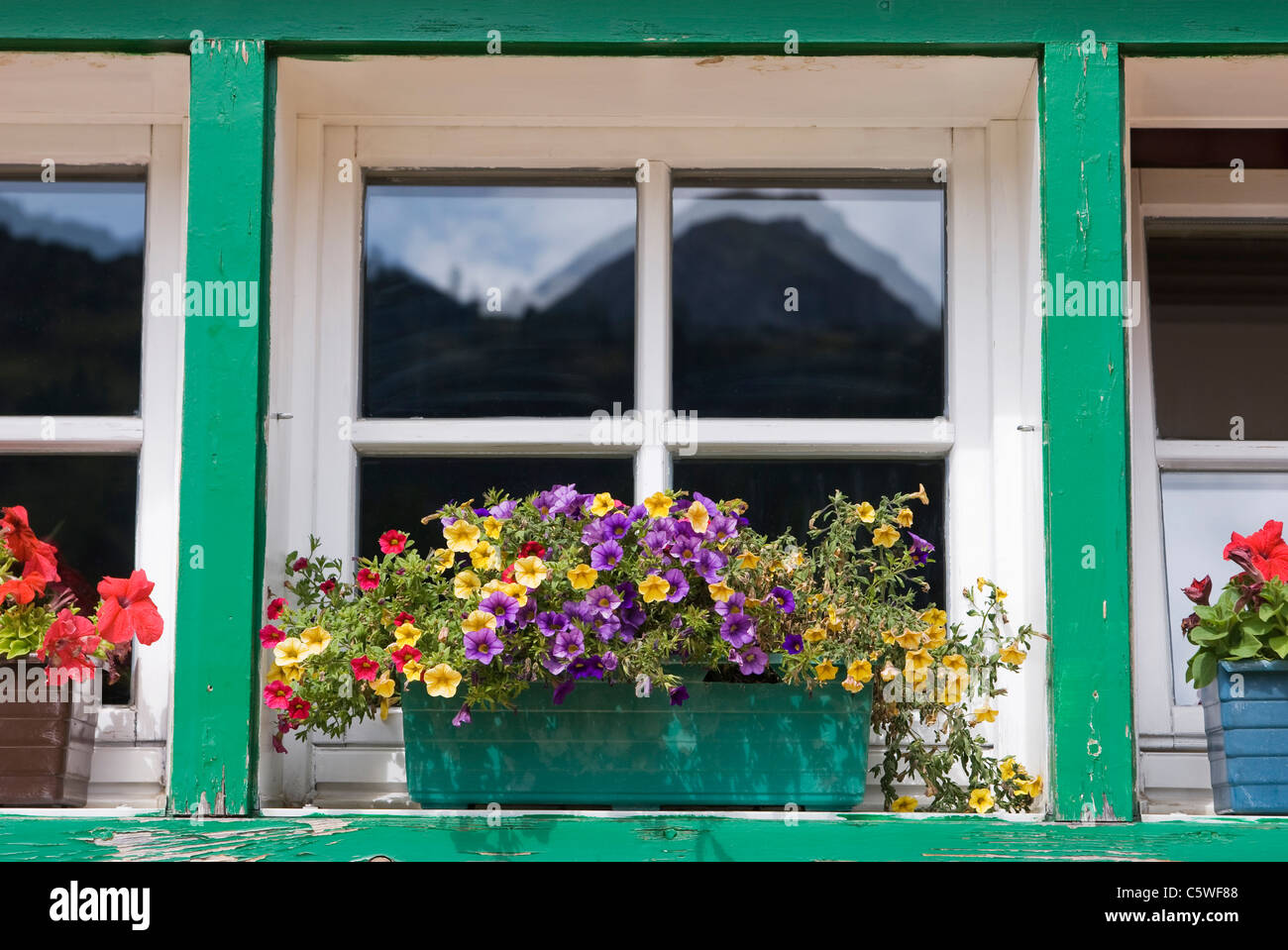 Log cabin, flower box with flowering plants on windowsill Stock Photo ...