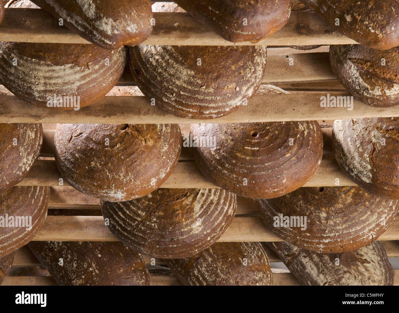 Loaves of bread in rack Stock Photo - Alamy