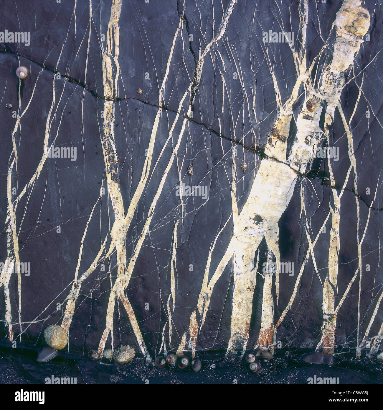 Japan, Black rock wall with white stripes Stock Photo - Alamy