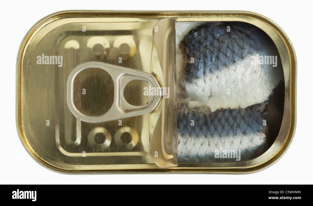 Fish in tin can on white background, close up Stock Photo - Alamy