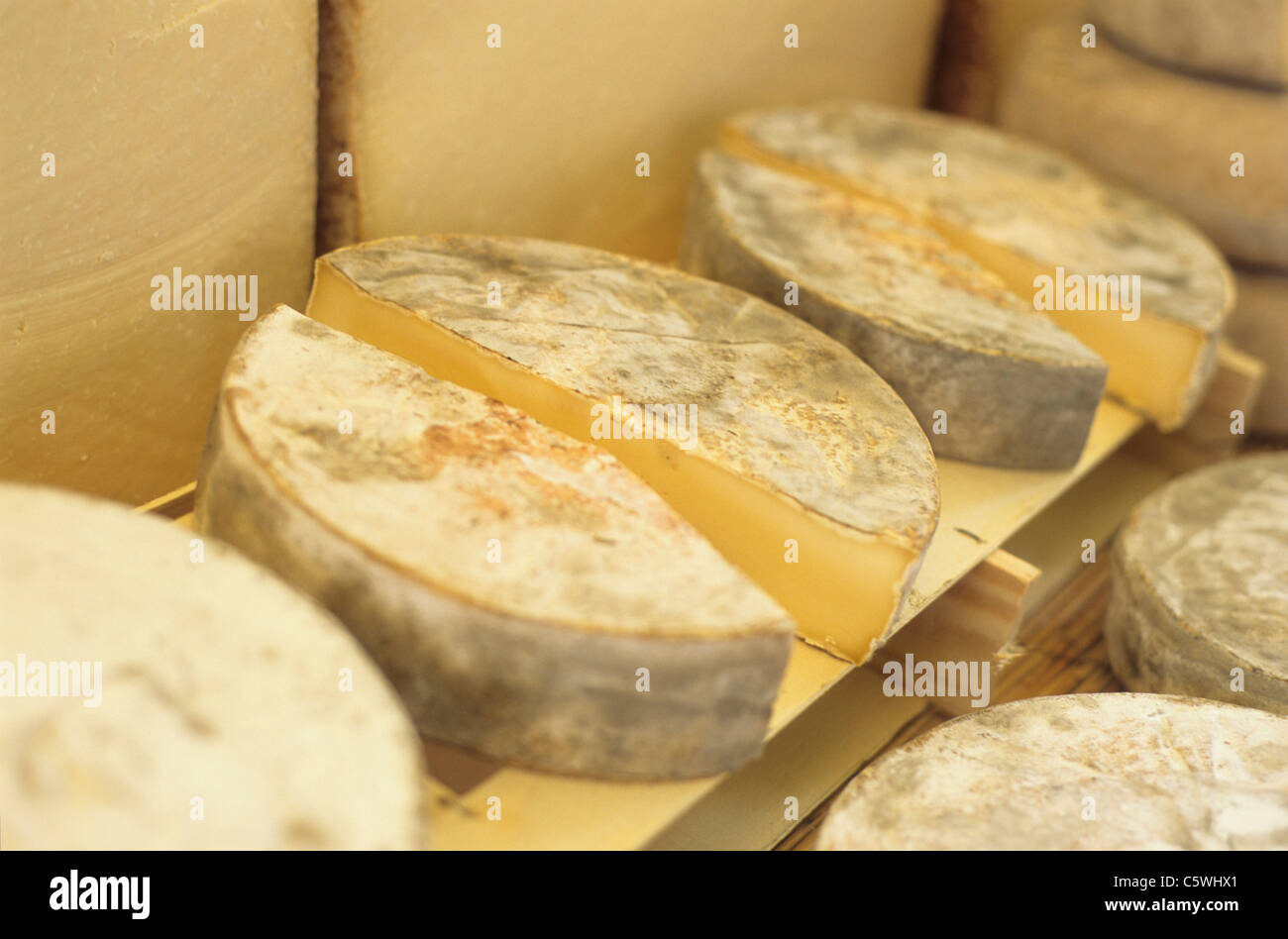 France, Alsace, Assortment of cheese, close up Stock Photo - Alamy