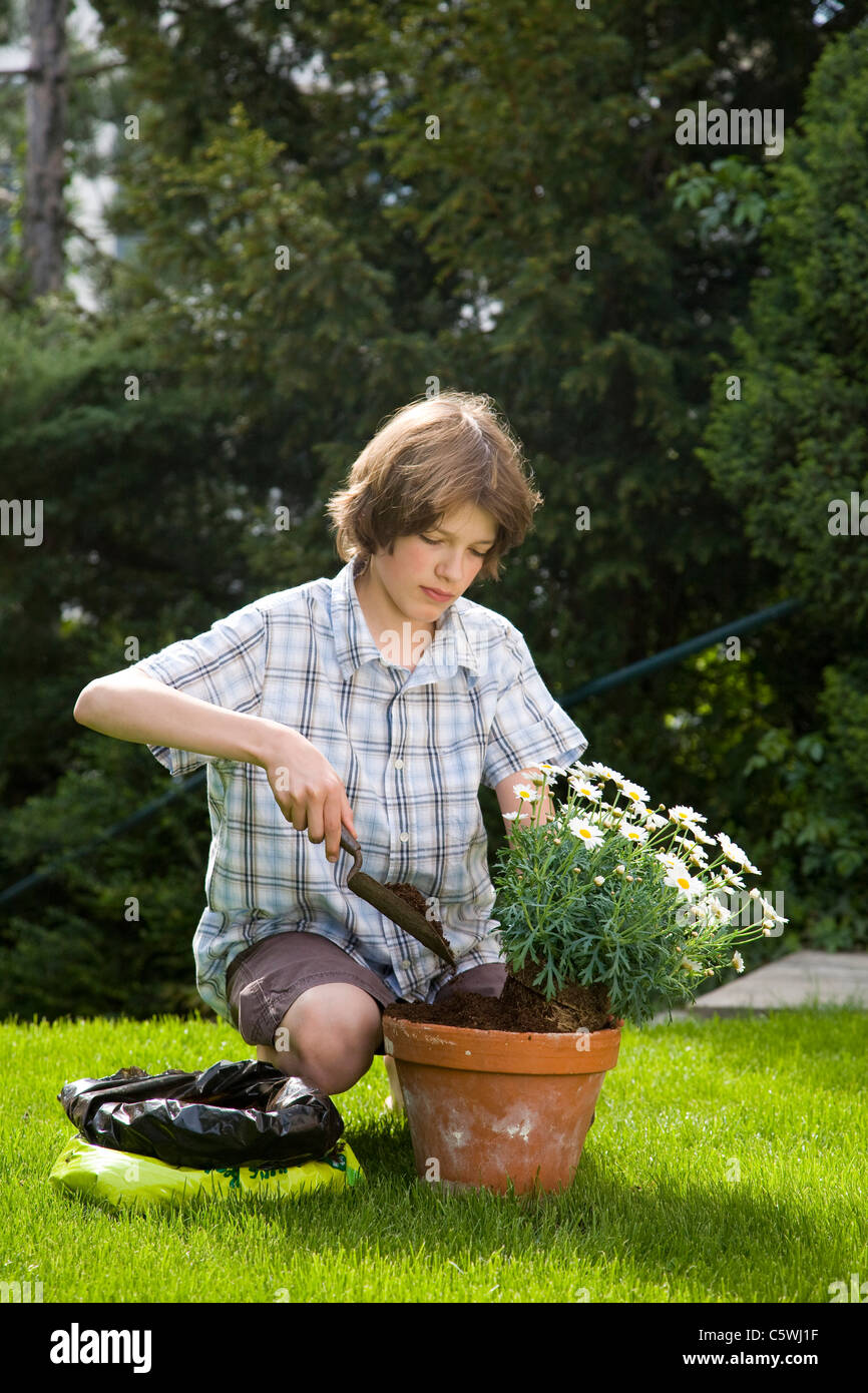 Germany, Baden-WÃ¼rttemberg, Stuttgart, Boy (12-13) potting plant Stock ...