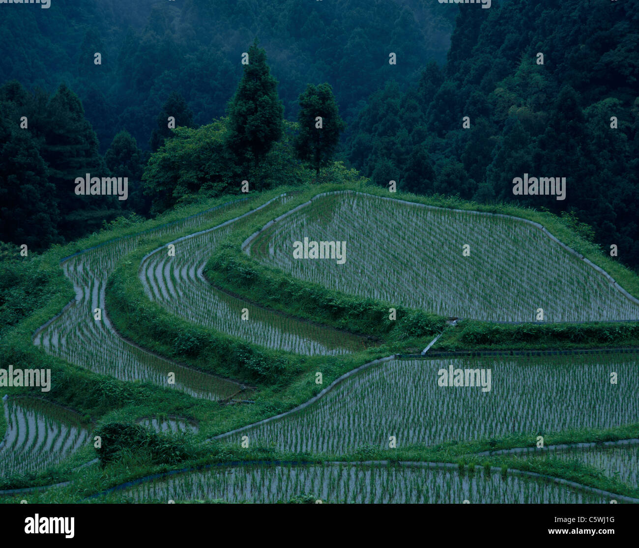 Kashihara japan hi-res stock photography and images - Alamy