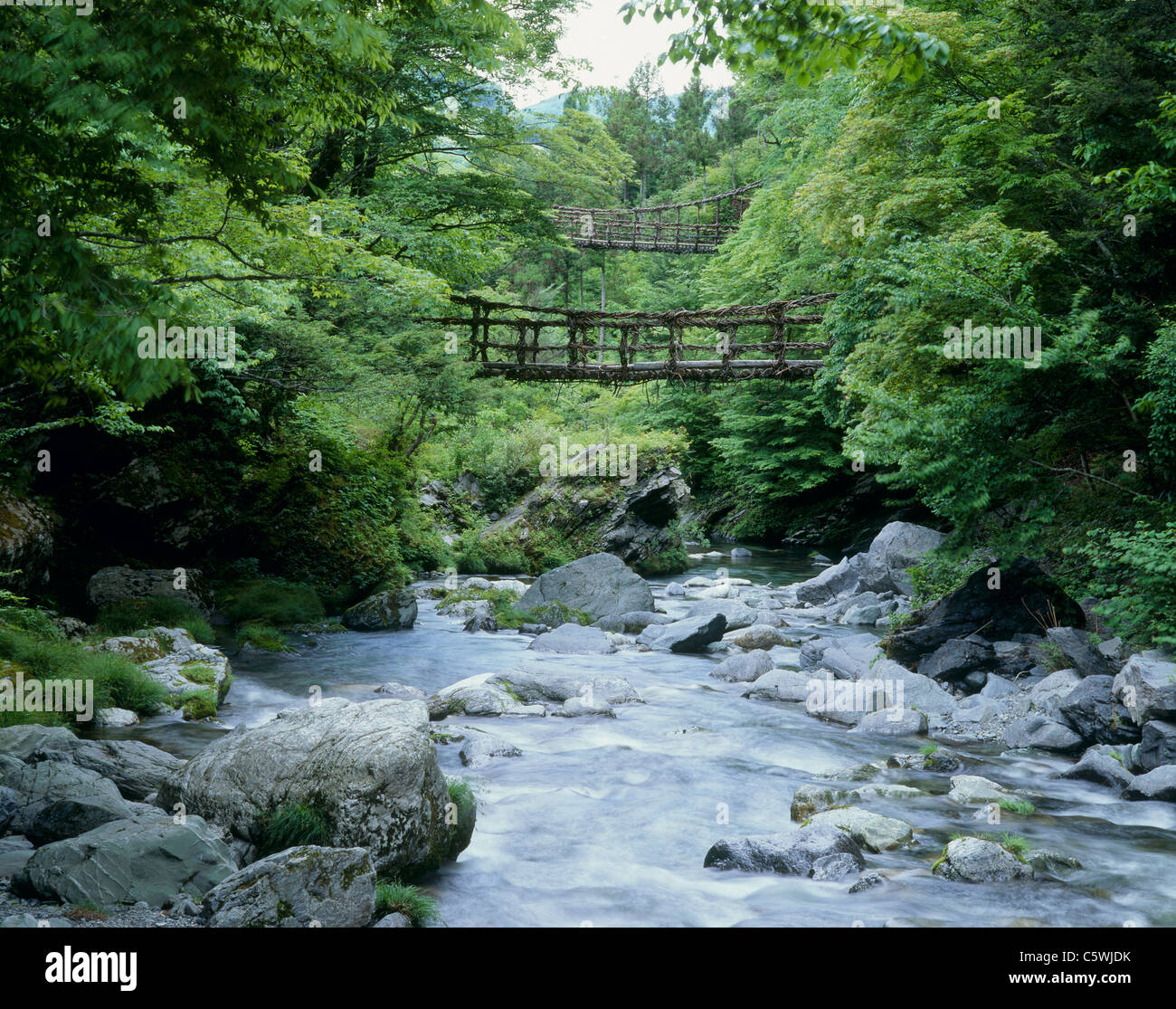 Oku-iya Vine Bridges and Iya Valley, Miyoshi, Tokushima, Japan Stock ...