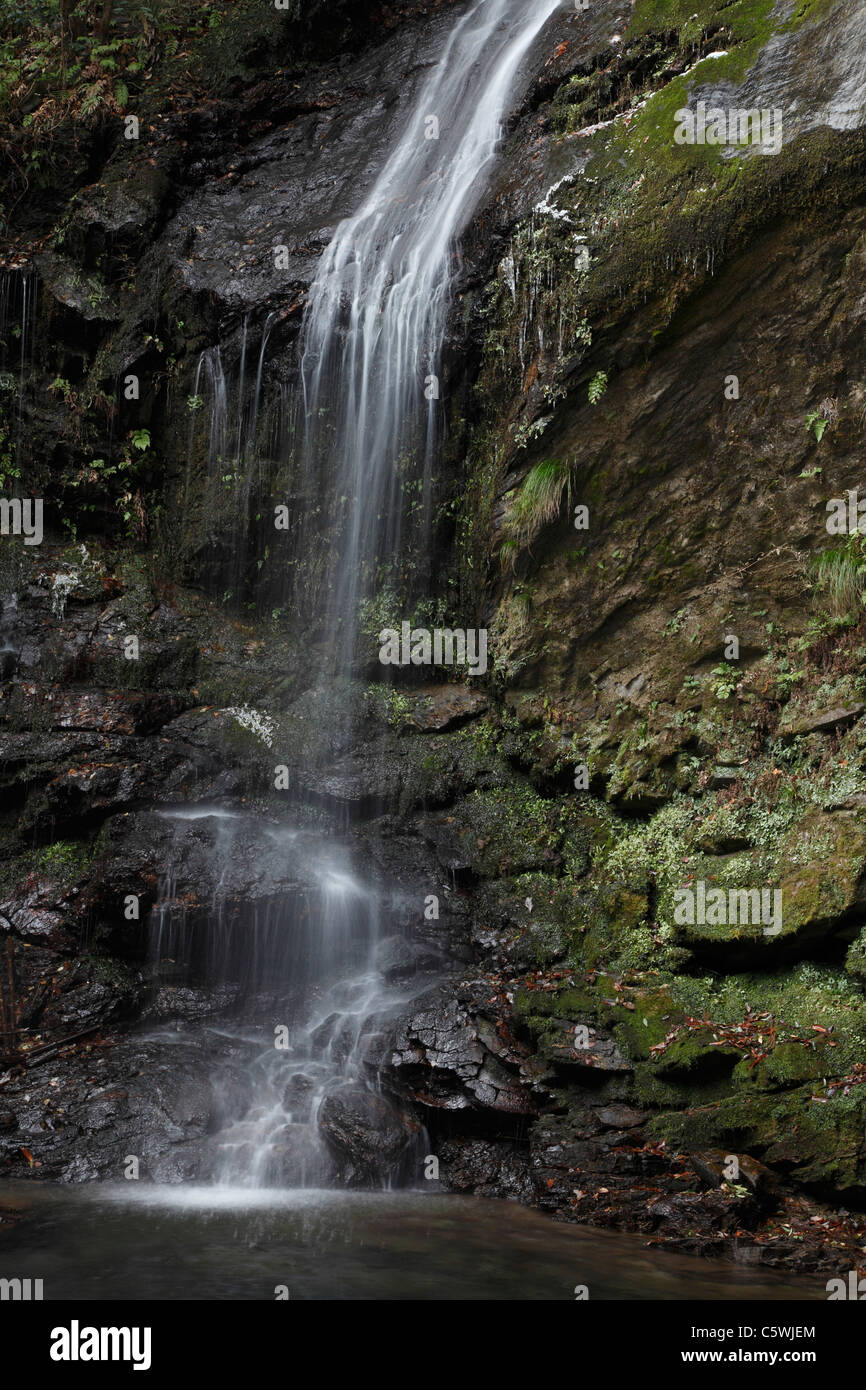 Biwa Waterfall, Miyoshi, Tokushima, Japan Stock Photo - Alamy