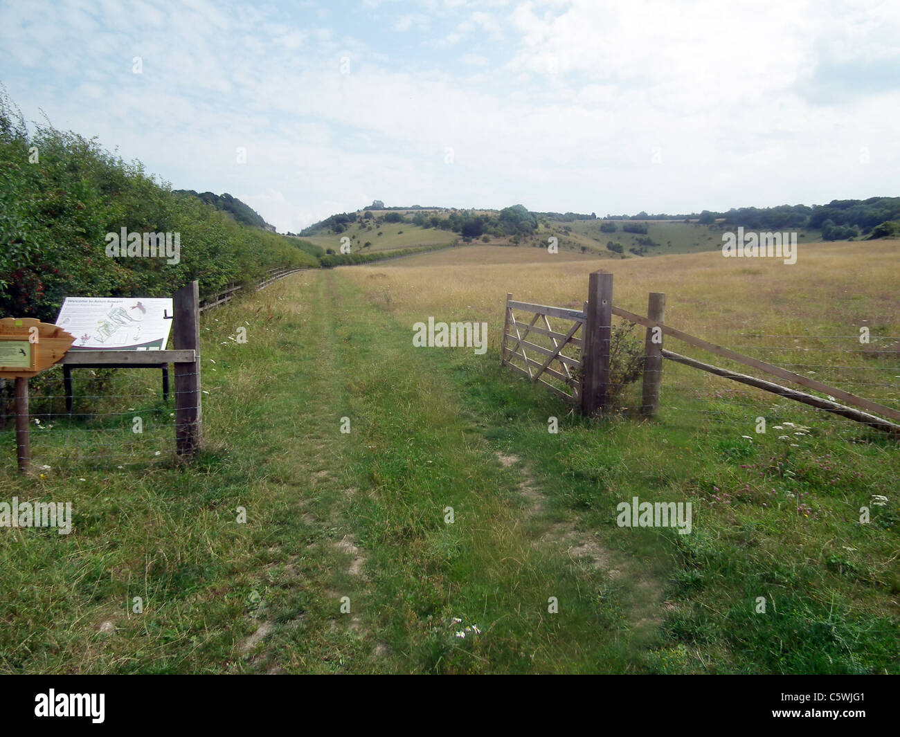 ASTON ROWANT National Nature Reserve in the Chiltern Hills looking east ...
