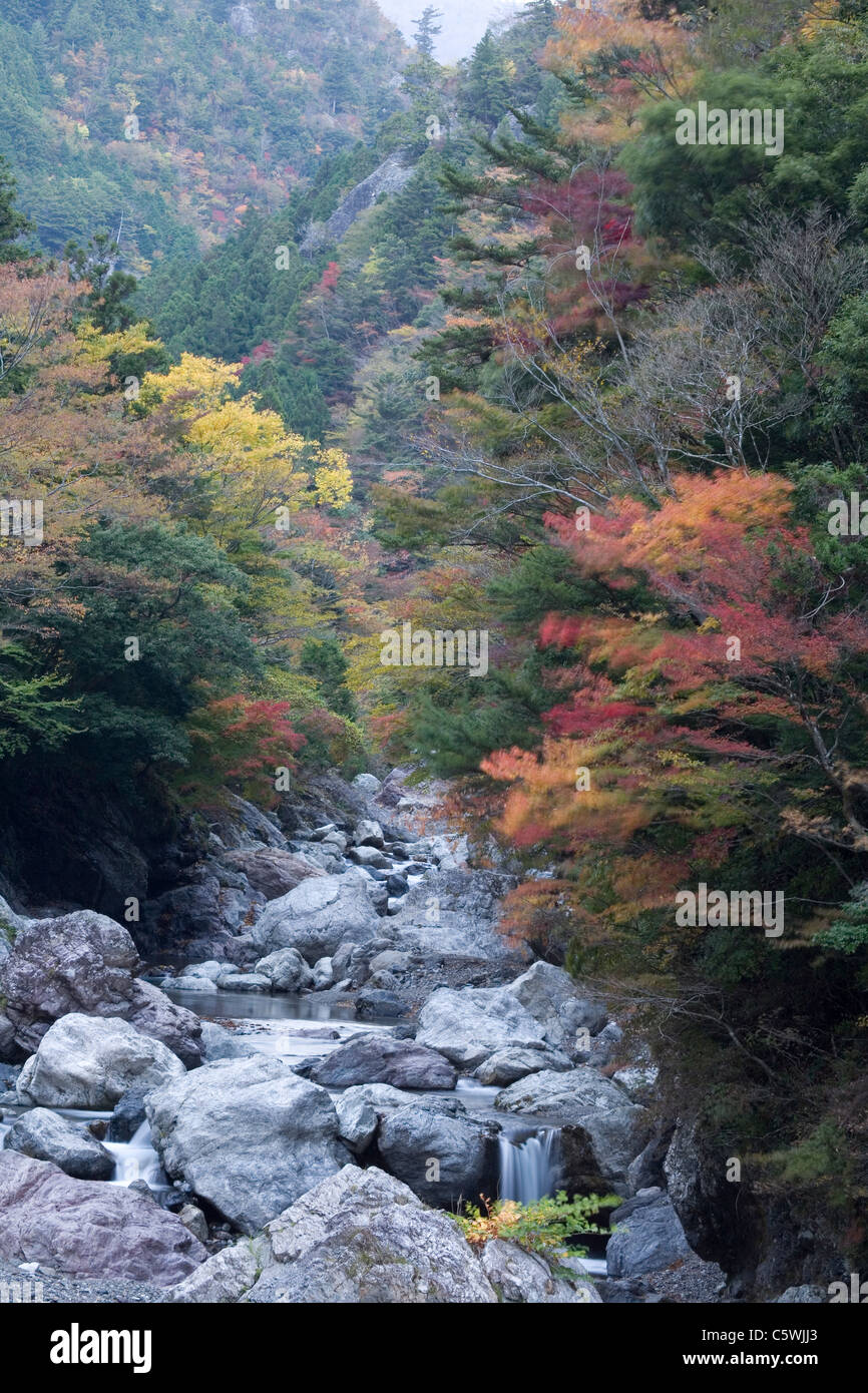 Naka hi-res stock photography and images - Alamy