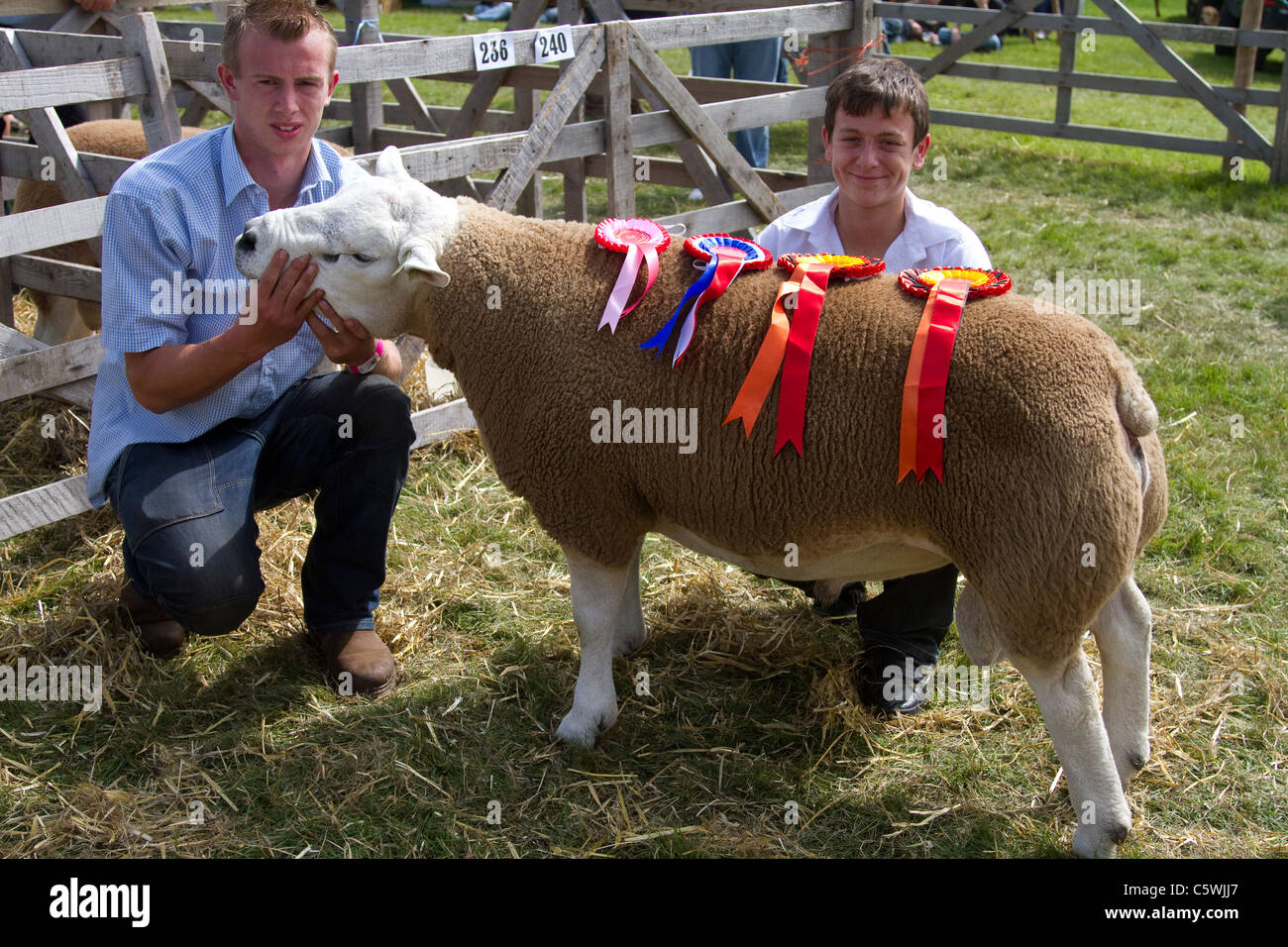 Award ribbons champions hi-res stock photography and images - Alamy