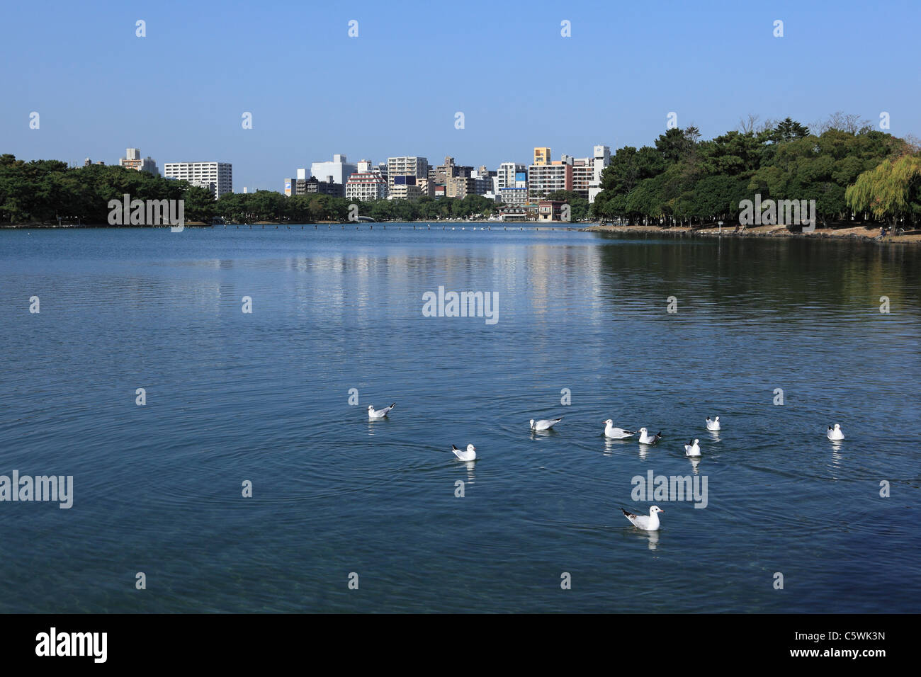Ohori Park, Fukuoka, Fukuoka, Japan Stock Photo - Alamy
