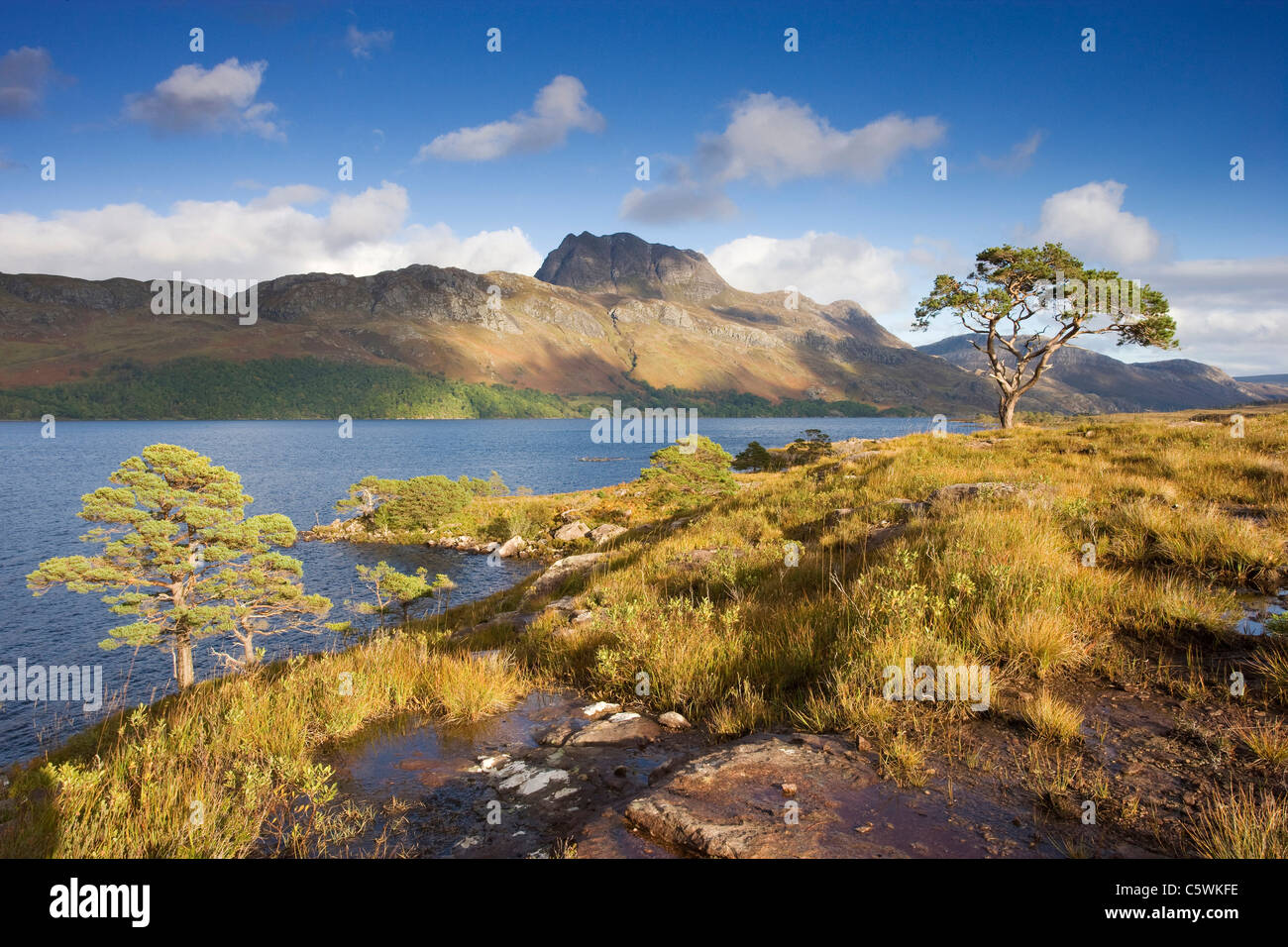 Loch Maree and Slioch, Scotland, Great Britain Stock Photo - Alamy