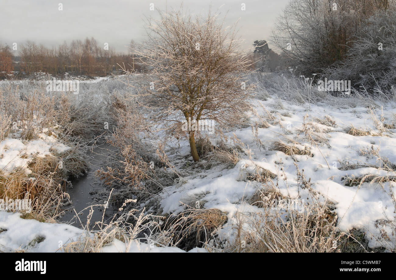 Classic english winter countryside hi-res stock photography and images ...