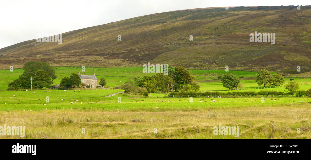 Farm house against the fells in Bowland area of Lancashire Stock Photo ...