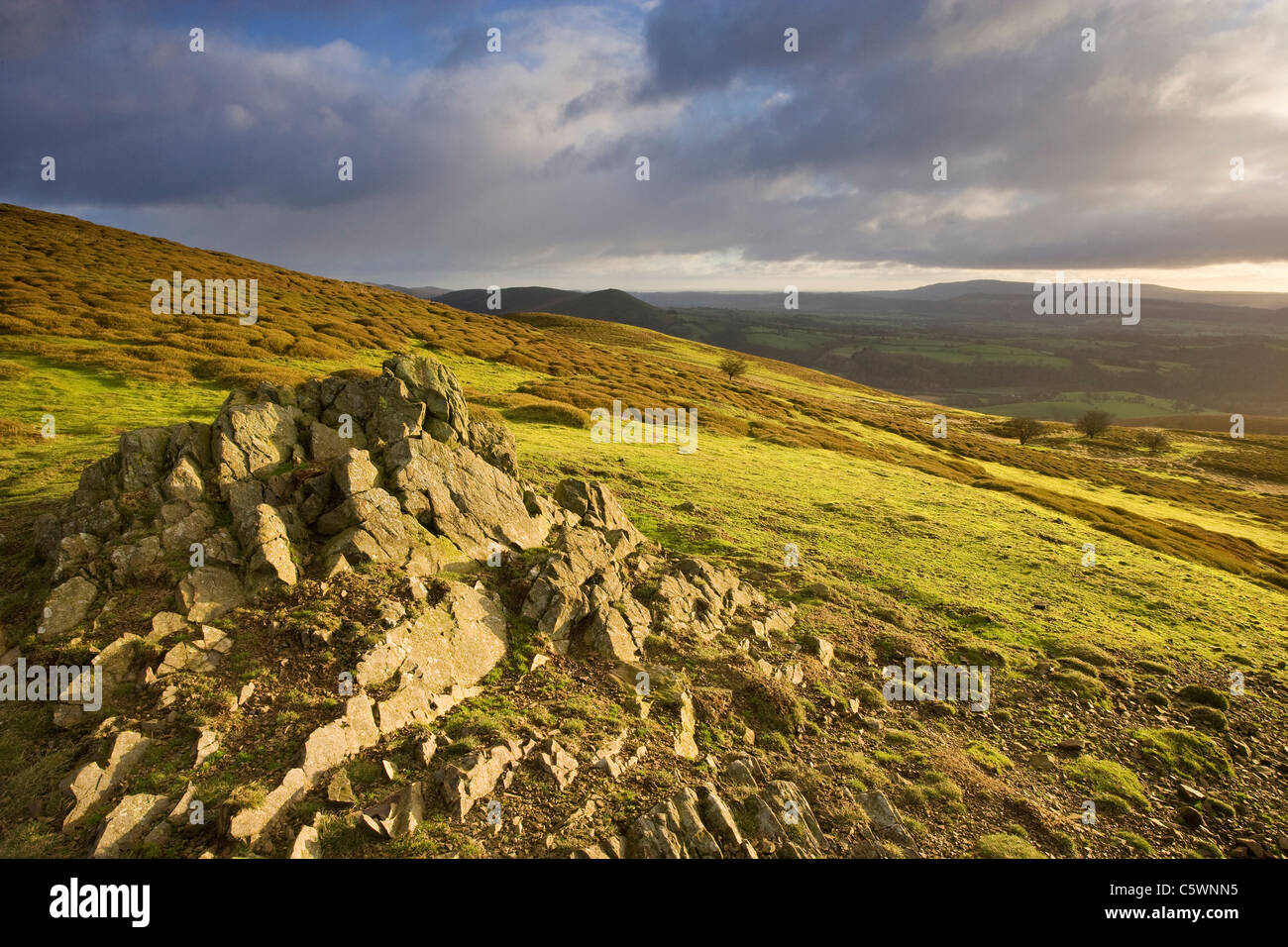 Long Mynd, Shropshire, England, Great Britain Stock Photo - Alamy