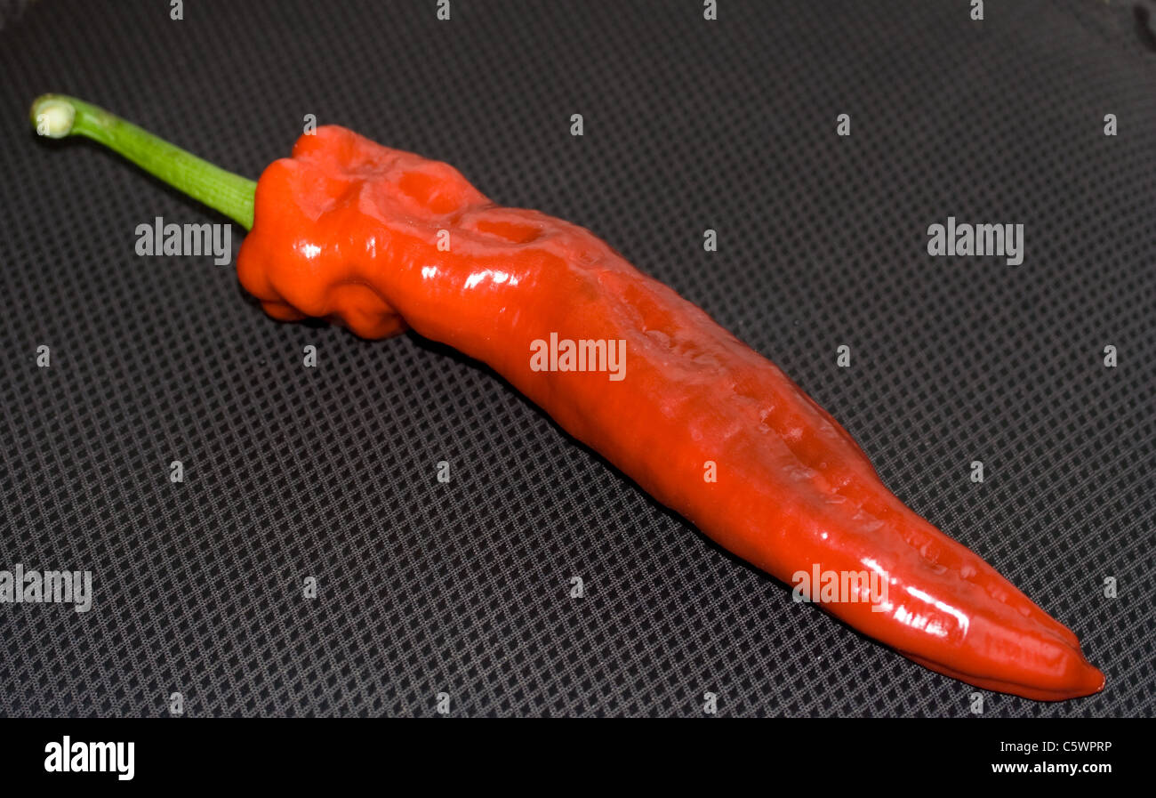 Long sweet pepper hi-res stock photography and images - Alamy