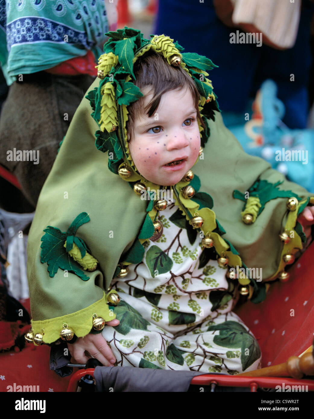 Swabian-Alemannic Fastnacht, masks carnival, carnival procession, child ...
