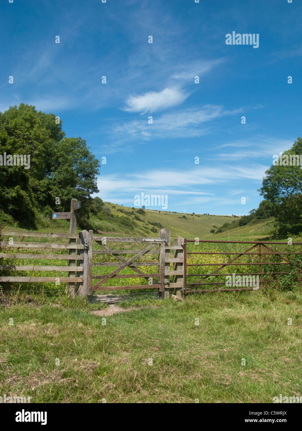South Downs Way at Amberley West Sussex England Stock Photo - Alamy