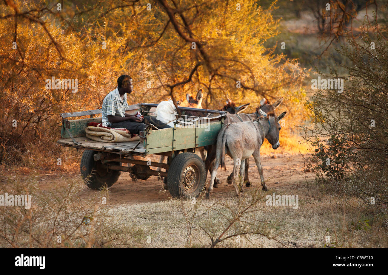 Man Carrying Donkey High Resolution Stock Photography and Images - Alamy