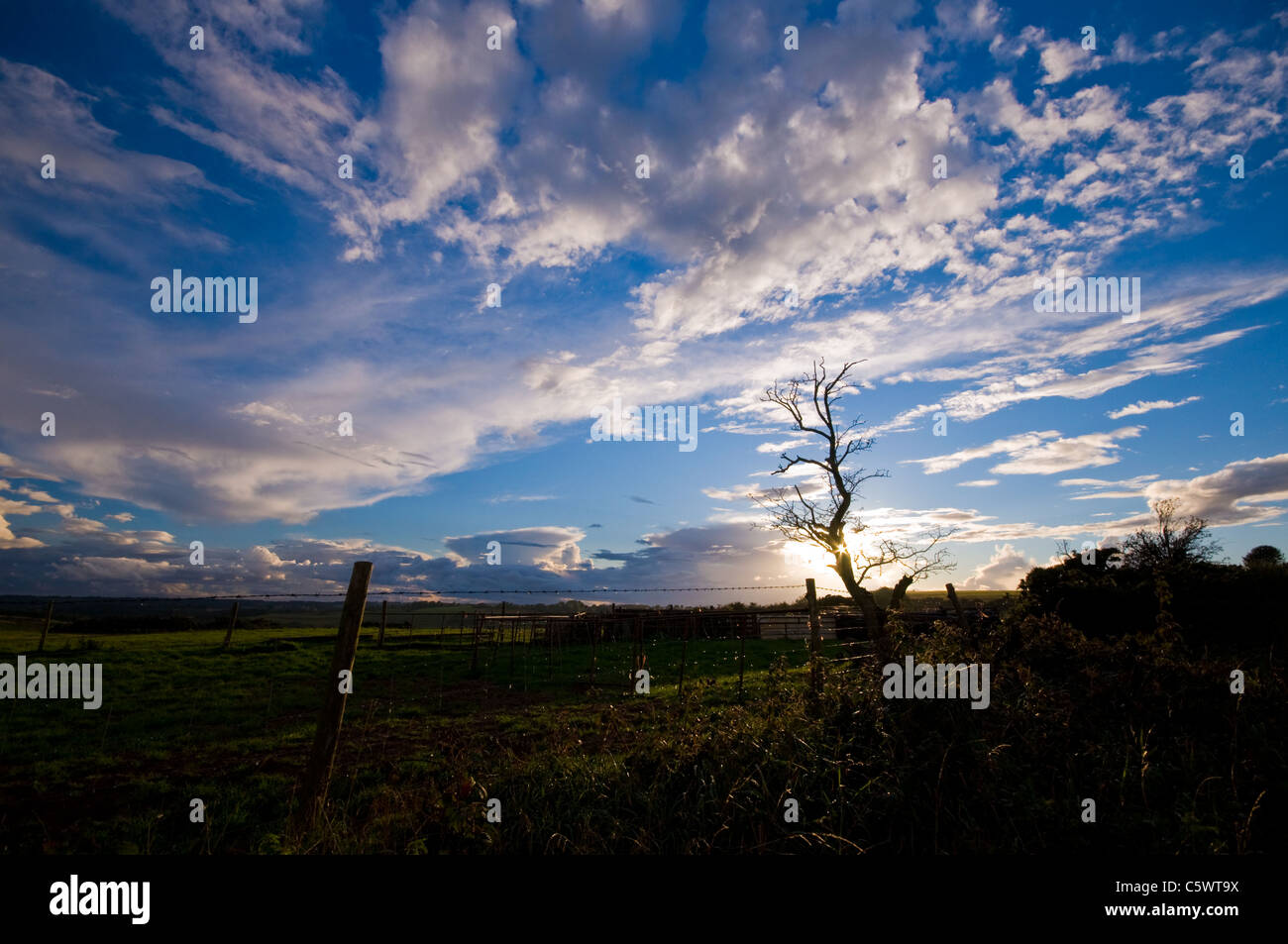 Beautiful sky just before sunset Stock Photo - Alamy