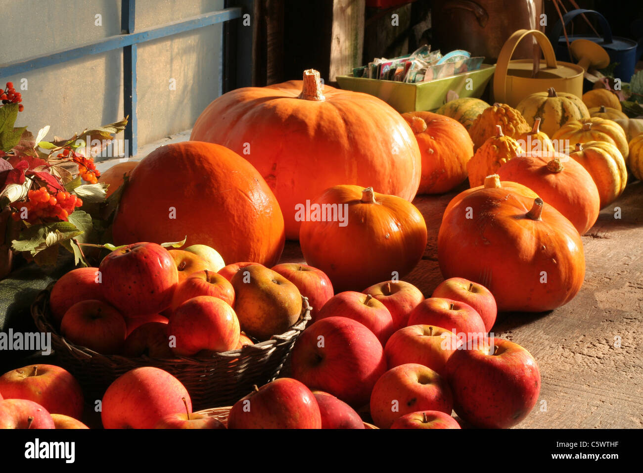 Reine maxima hi-res stock photography and images - Alamy