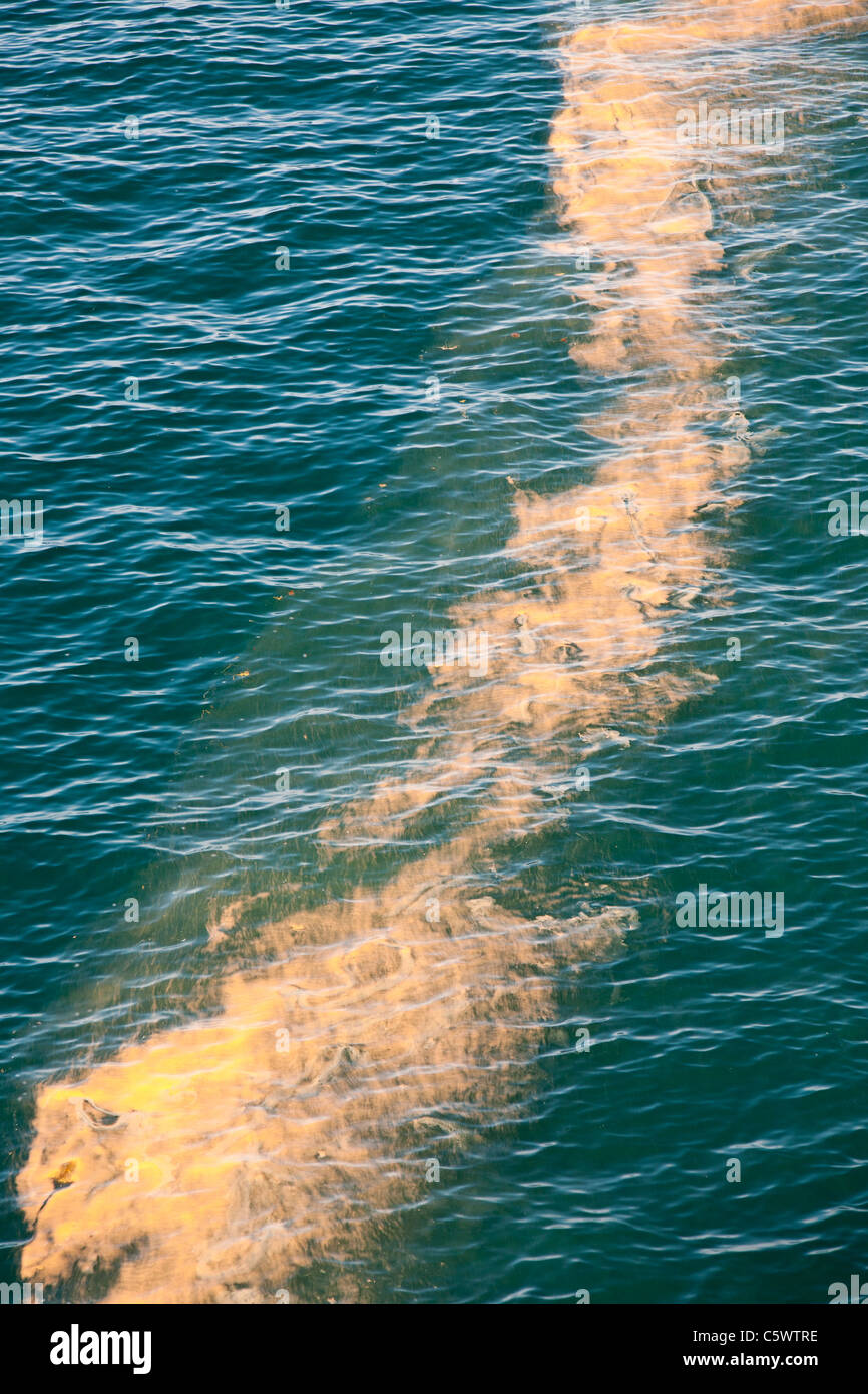 Algal bloom ocean hi-res stock photography and images - Alamy