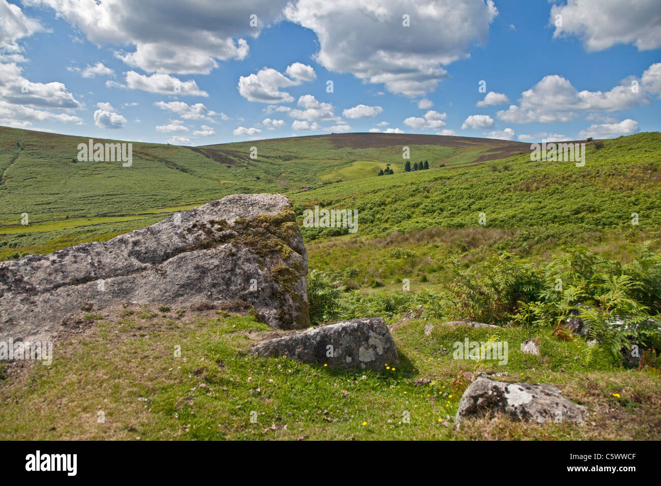 Dartmoor national park hi-res stock photography and images - Alamy