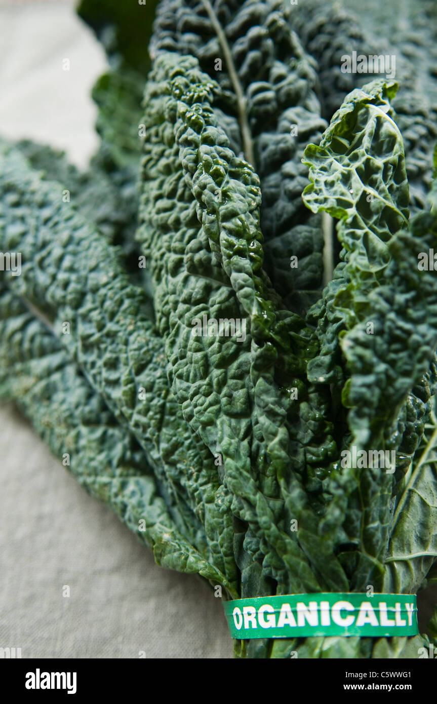 Nutritious kale leaves hi-res stock photography and images - Alamy