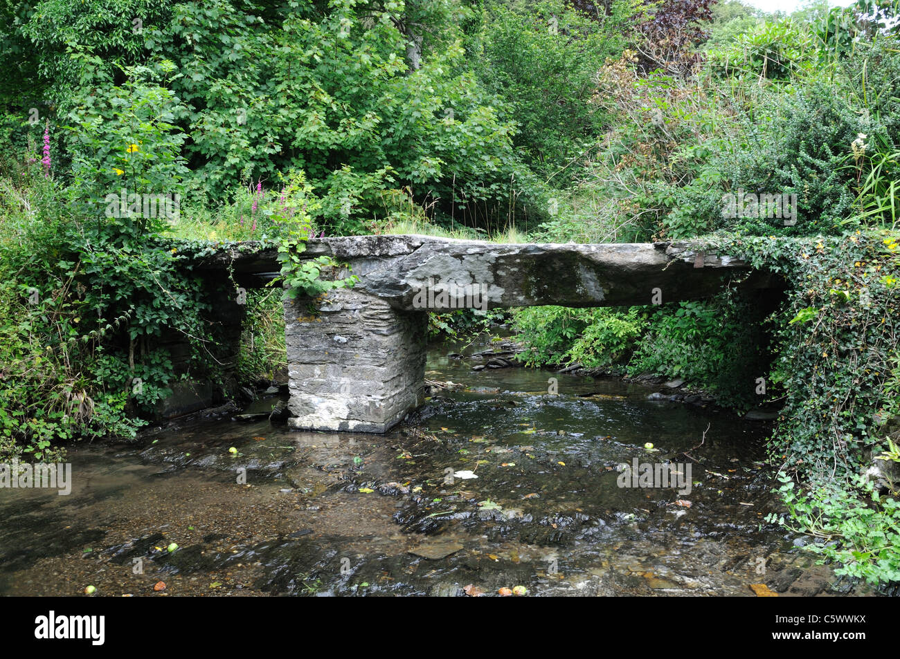 Ancient Stone Footbridge near St Brynachs Church Nevern Pembrokeshire ...