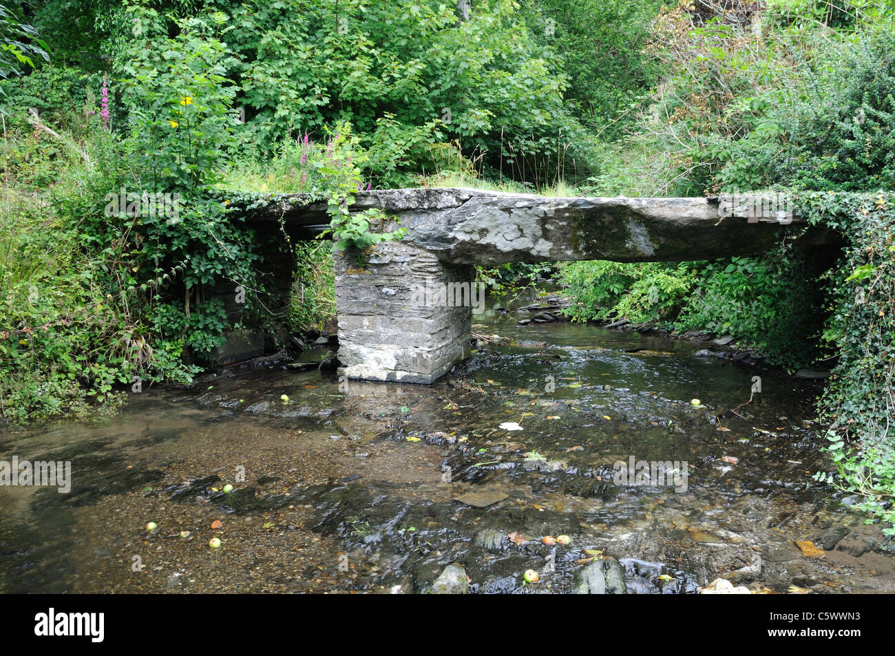 Ancient Stone Footbridge near St Brynachs Church Nevern Pembrokeshire ...