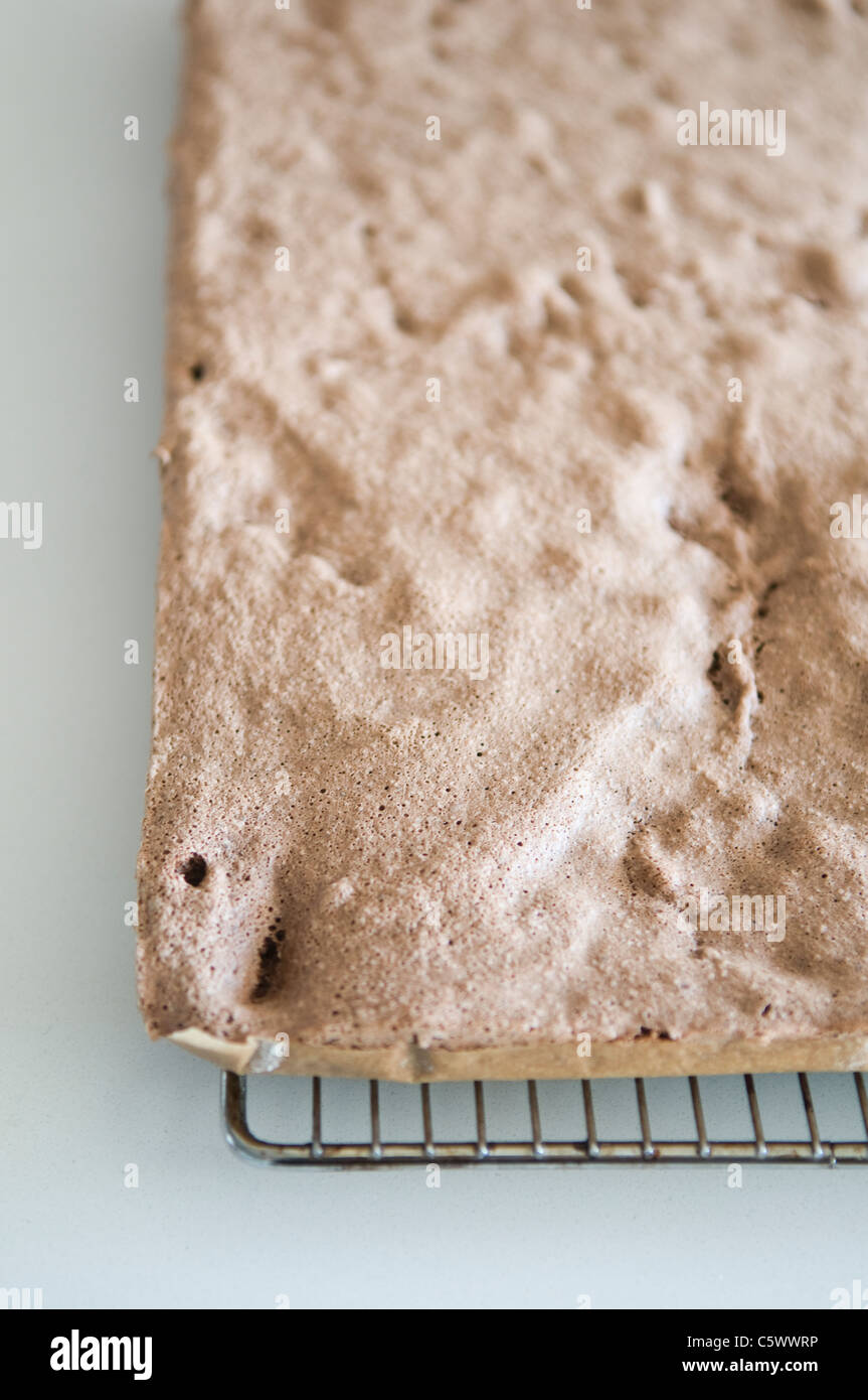 Sponge cake cooling with ginger bread ingredients on counter top Stock ...