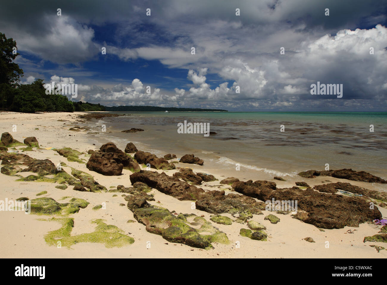 The Andamans Islands, Havelock, India Stock Photo - Alamy