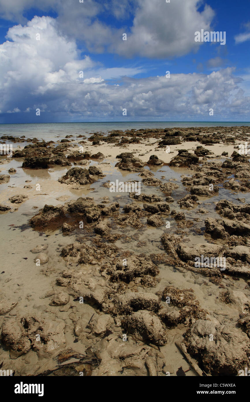 Andaman and nicobar hi-res stock photography and images - Alamy