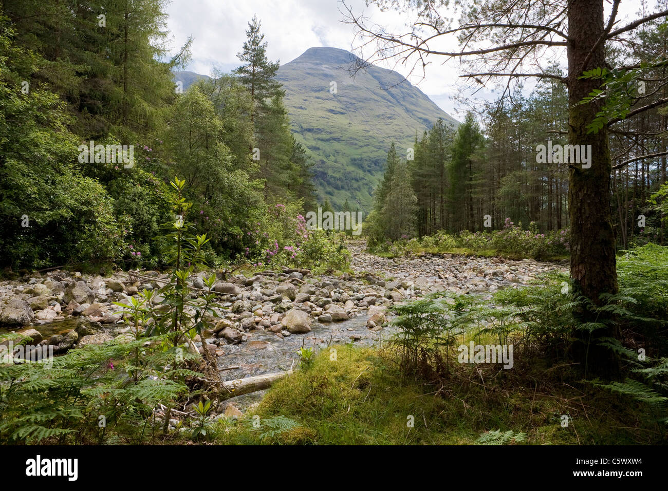 Rocky River Bed Stock Photo - Alamy