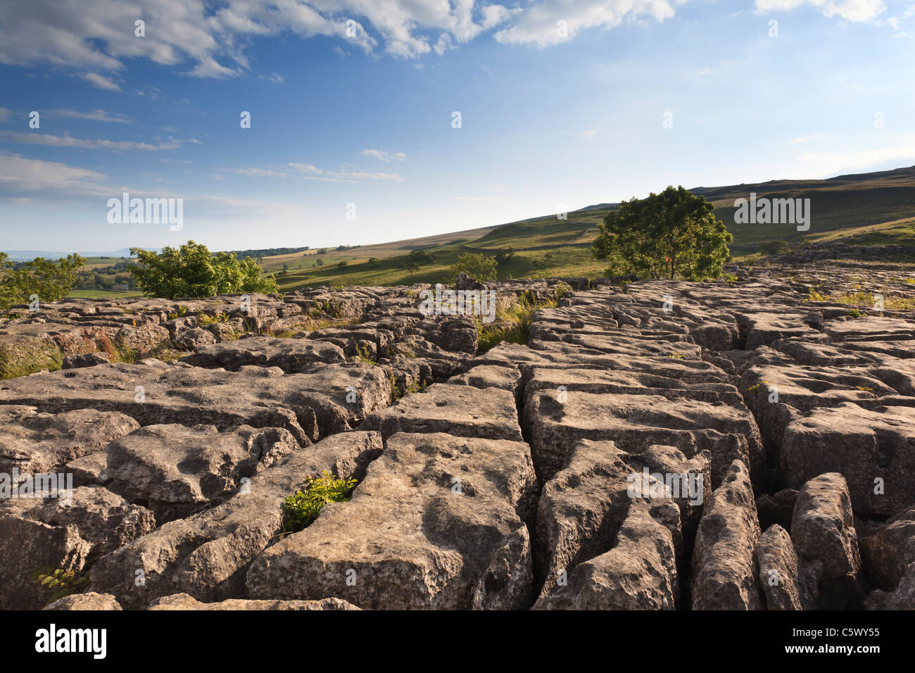 Yorkshire dales limestone hi-res stock photography and images - Alamy