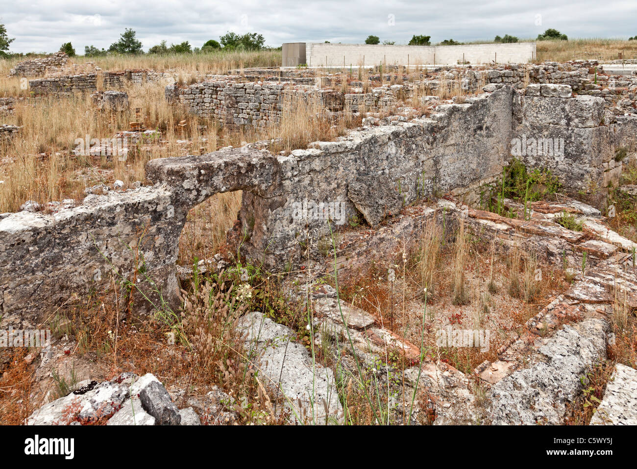 Insula ruins in Conimbriga, the best preserved Roman city ruins in ...