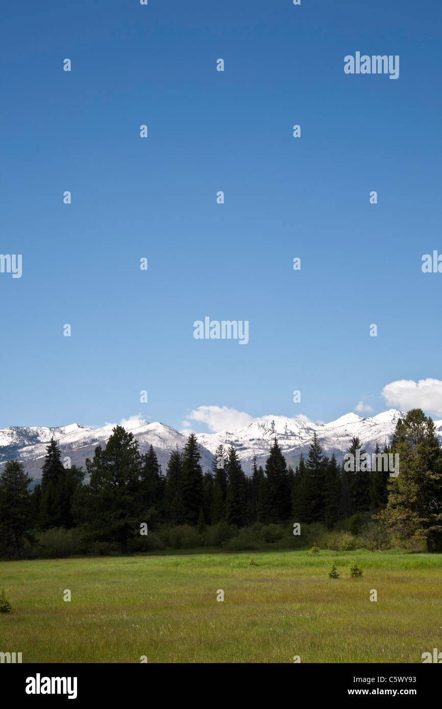 Swan Mountain Range, Rockies, MT Stock Photo - Alamy